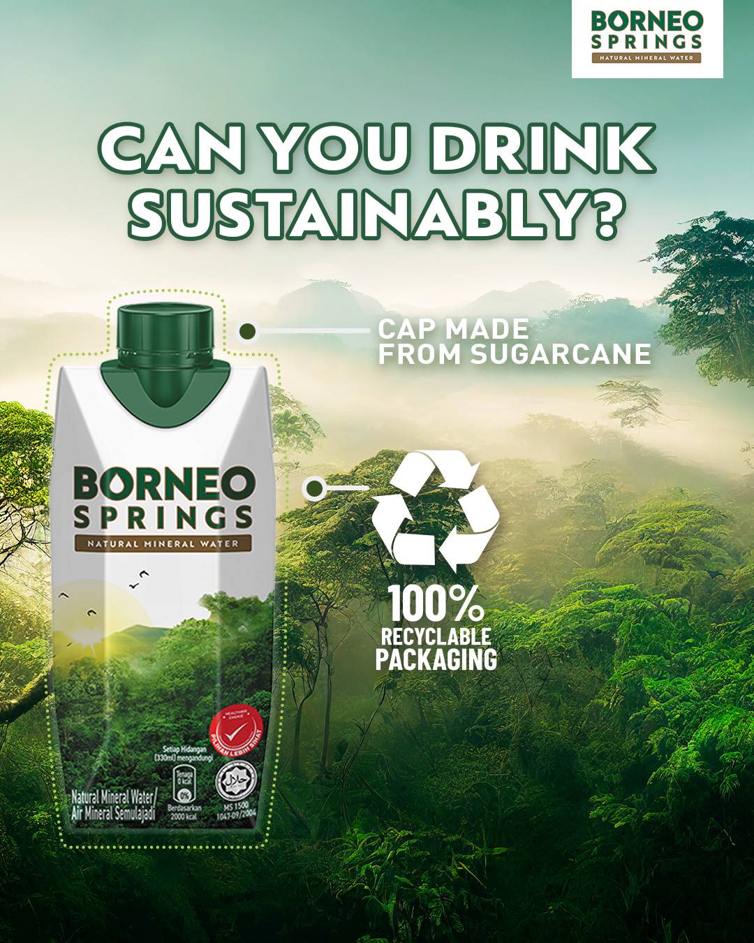 Borneo Springs Mineral Water Tetrapak 18x330ml
